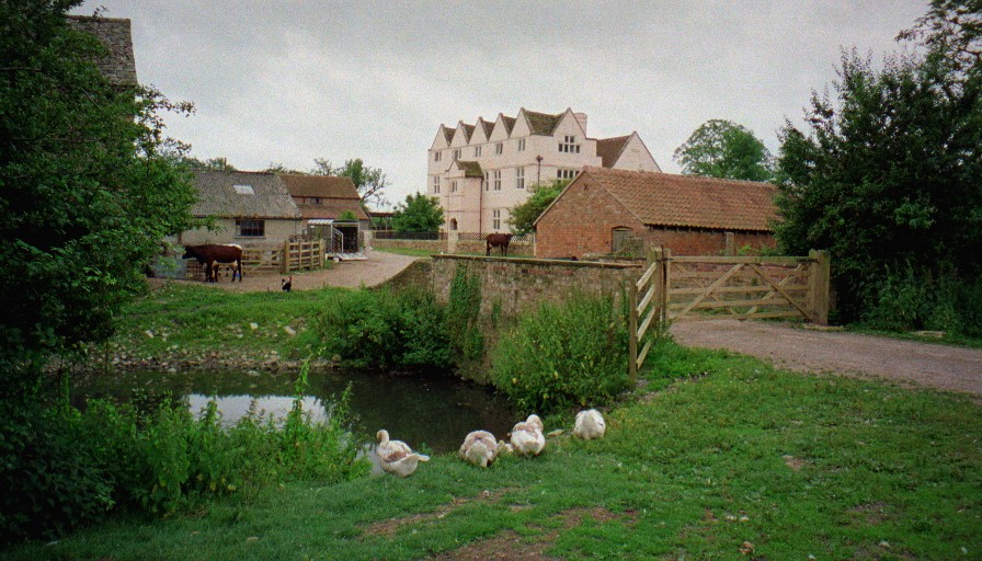 Kaddi | Farms for City Children - Wick Court